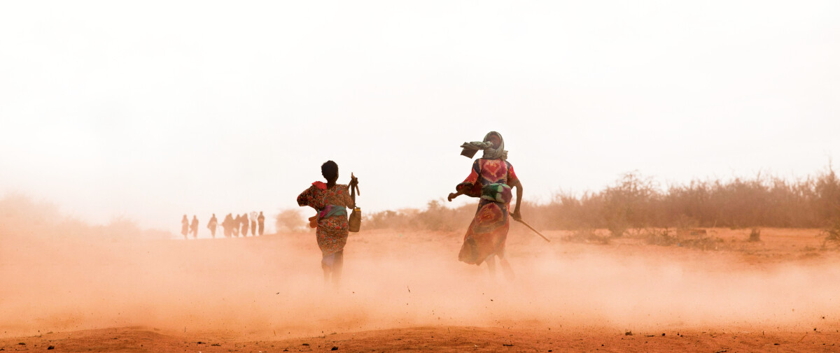 Shaqodoon – Somalia's No.1 Job Portal.